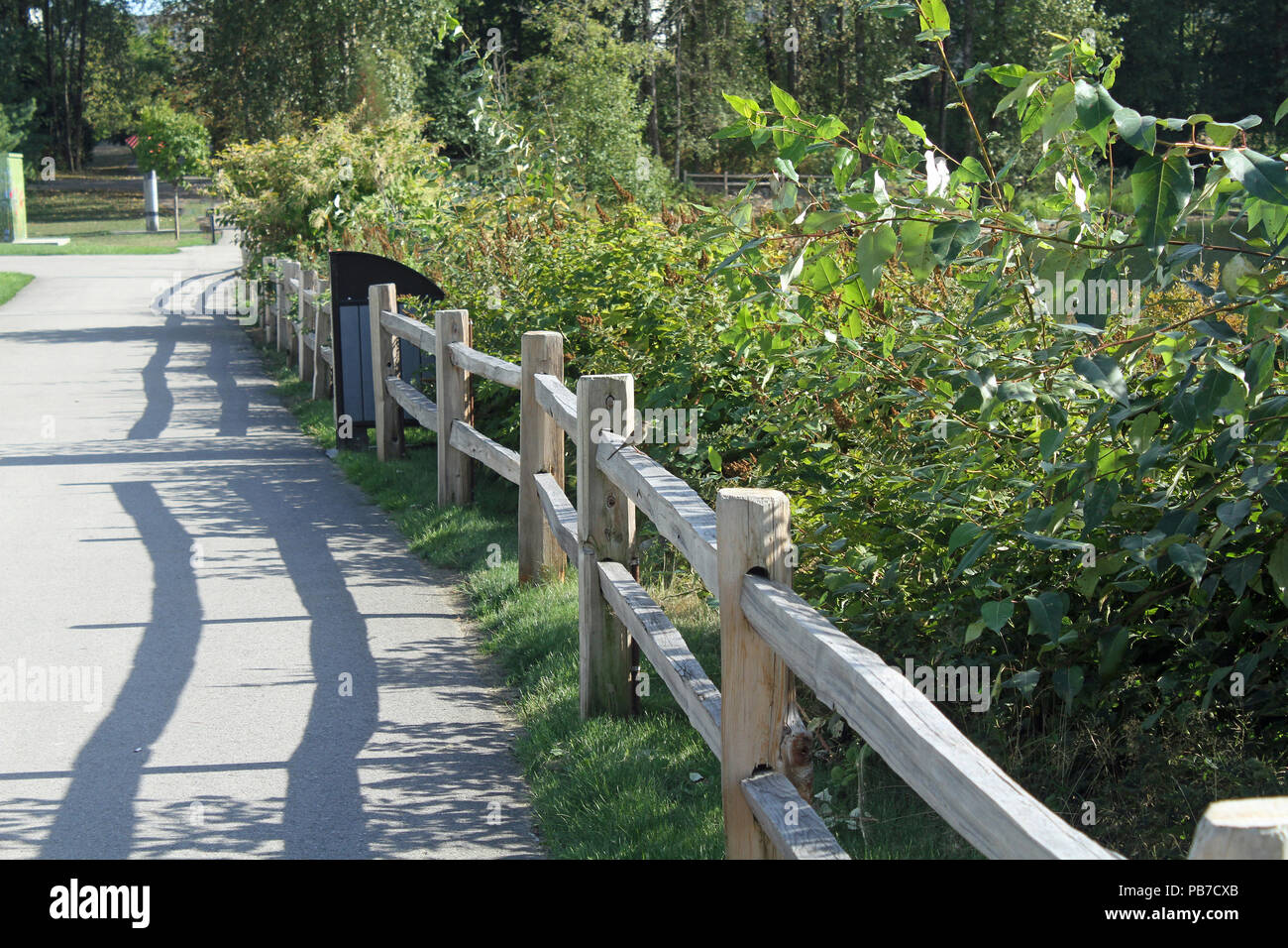 Alongside small plants hi-res stock photography and images - Alamy