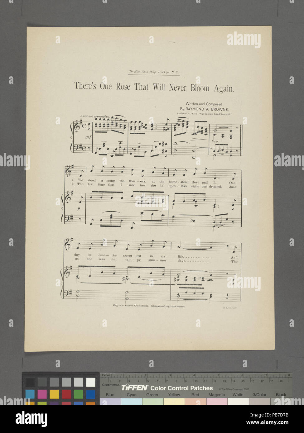 One rose hi-res stock photography and images - Alamy