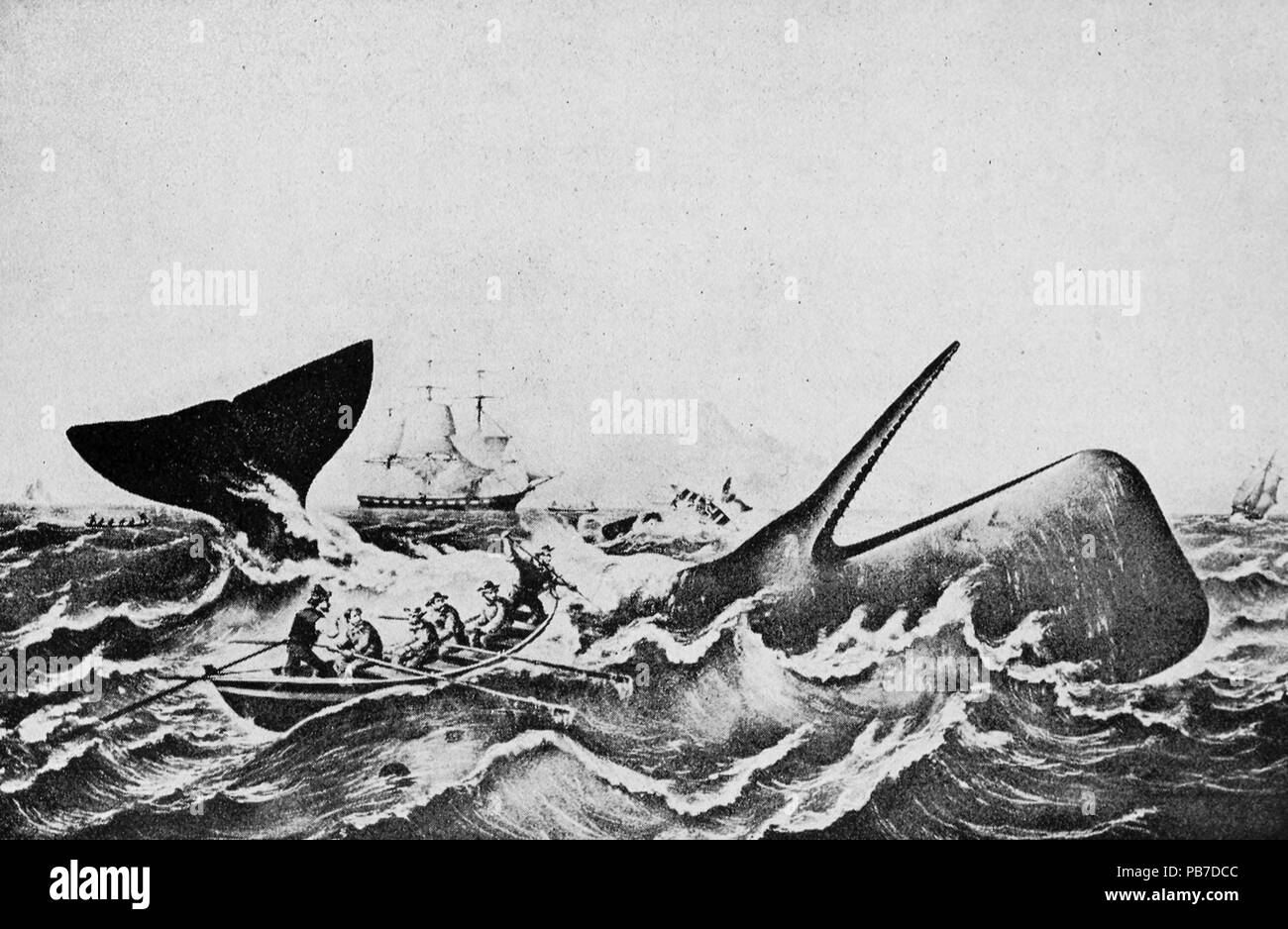 Whaling 19th century hi-res stock photography and images - Alamy