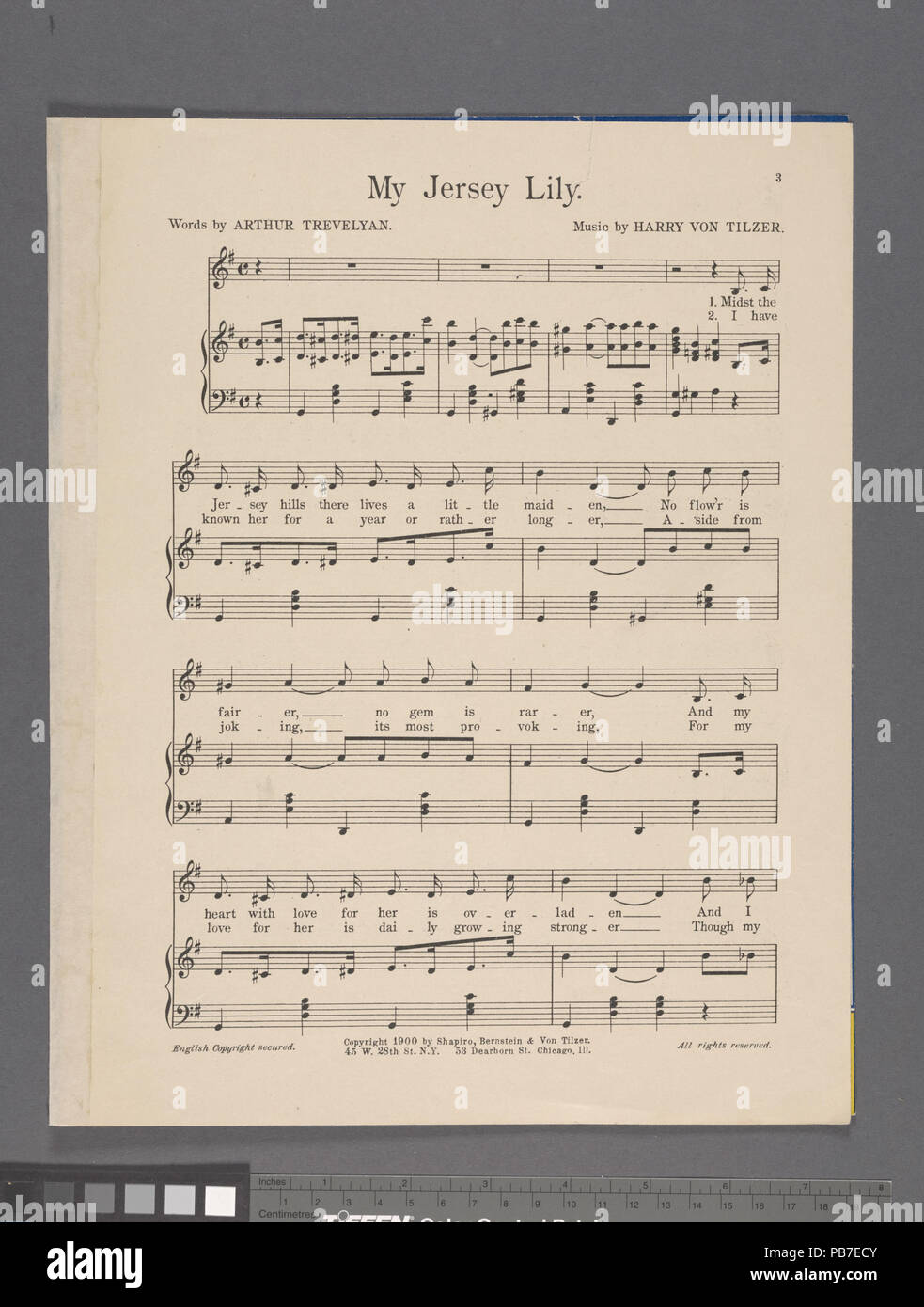 1075 My Jersey Lily (NYPL Hades-609102-1942515 Stock Photo - Alamy