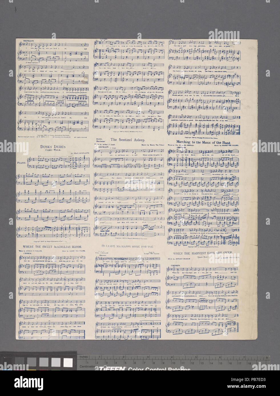 1075 My Jersey Lily (NYPL Hades-609102-1942518 Stock Photo - Alamy