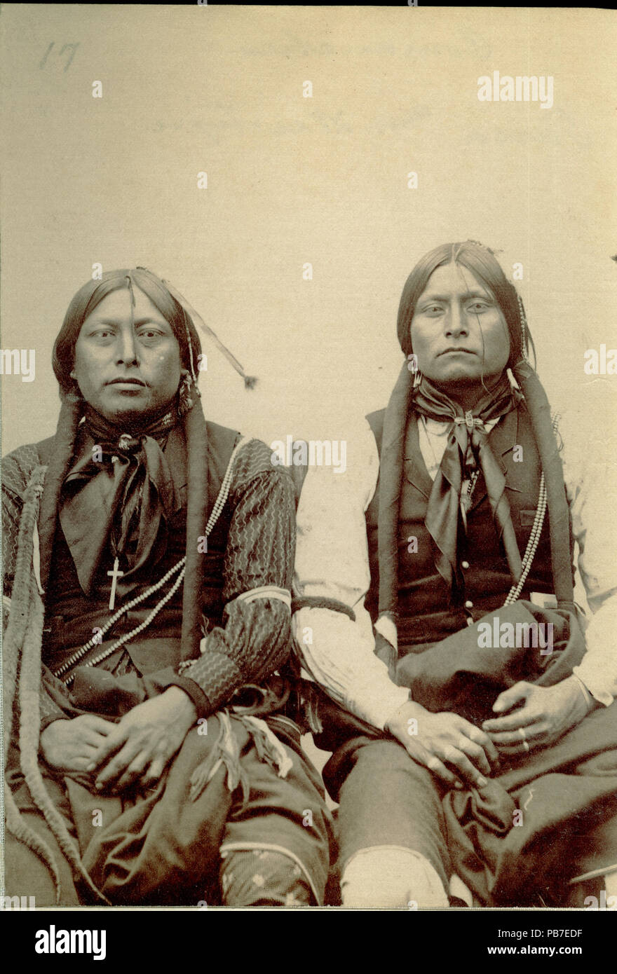 Tarsa hi-res stock photography and images - Alamy