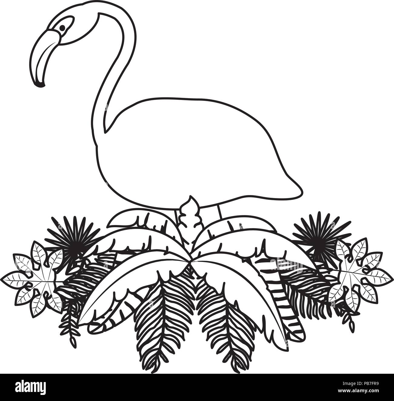 line flemish with branches leaves and exotic flowers Stock Vector Image ...