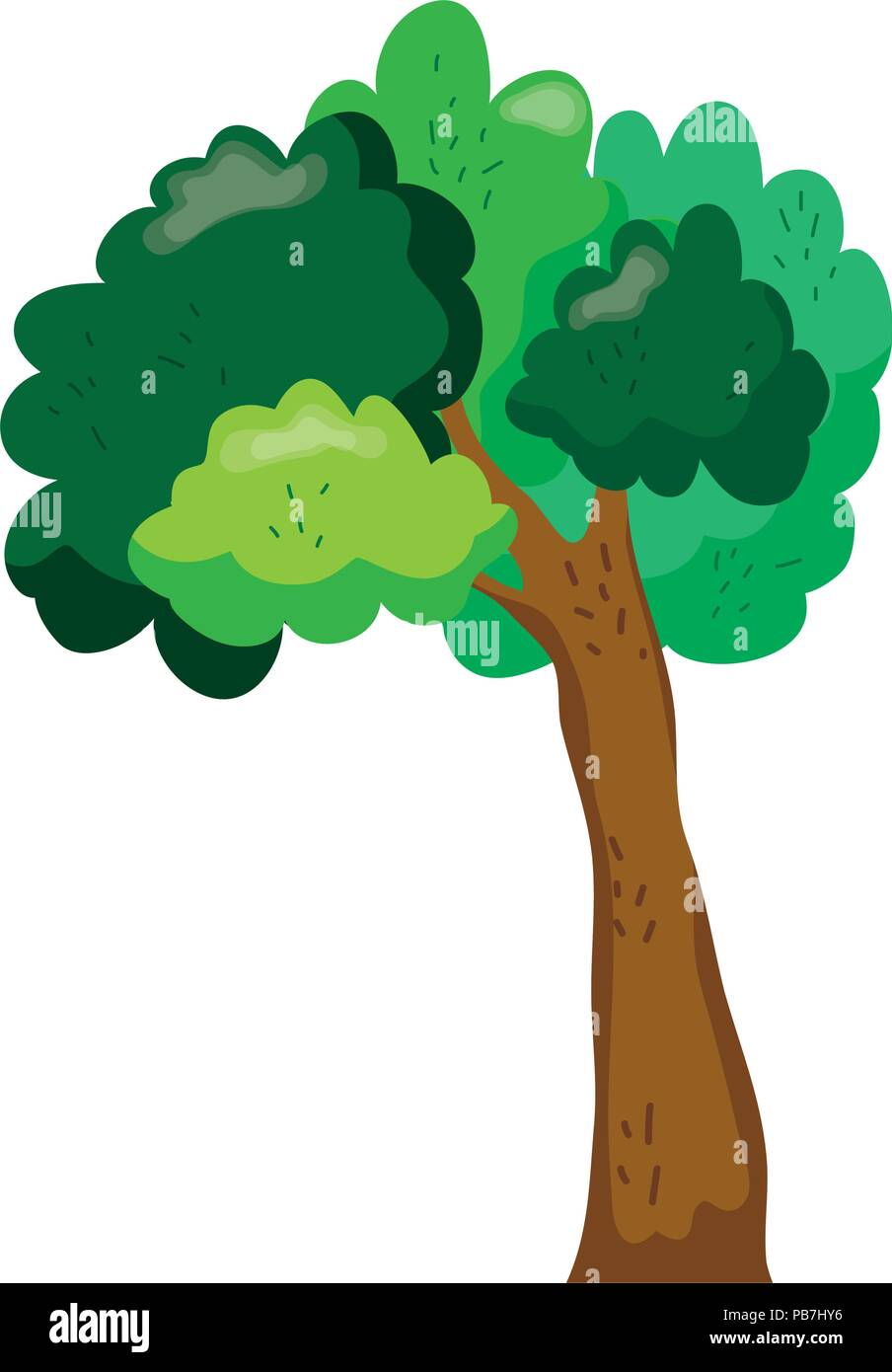 Nice oak Stock Vector Images - Alamy