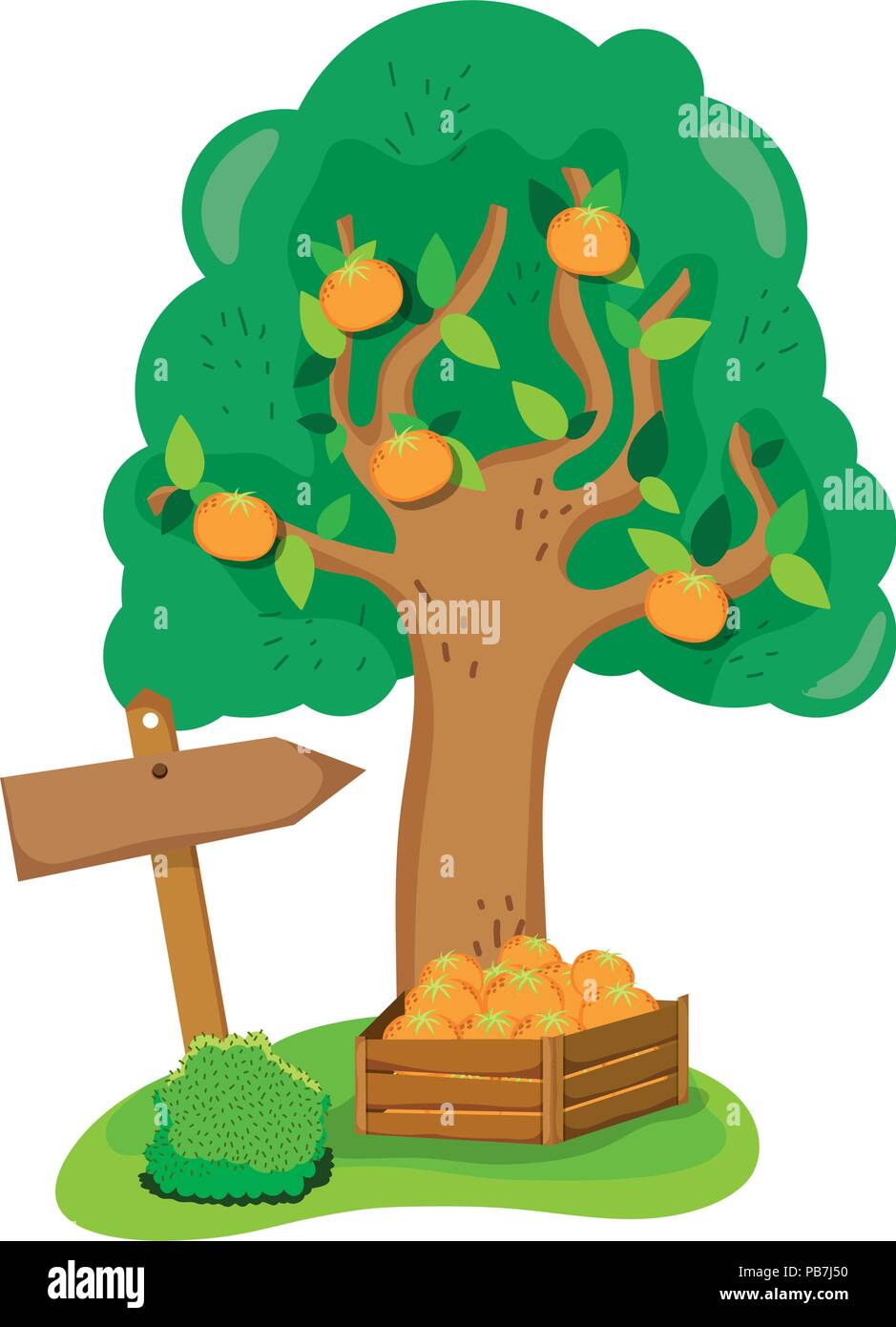 Box of oranges Stock Vector Images - Alamy