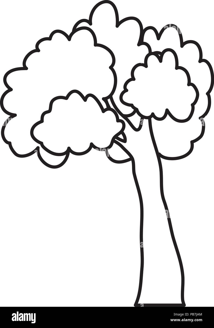 line nice tree stalk with branches leaves Stock Vector Image & Art - Alamy