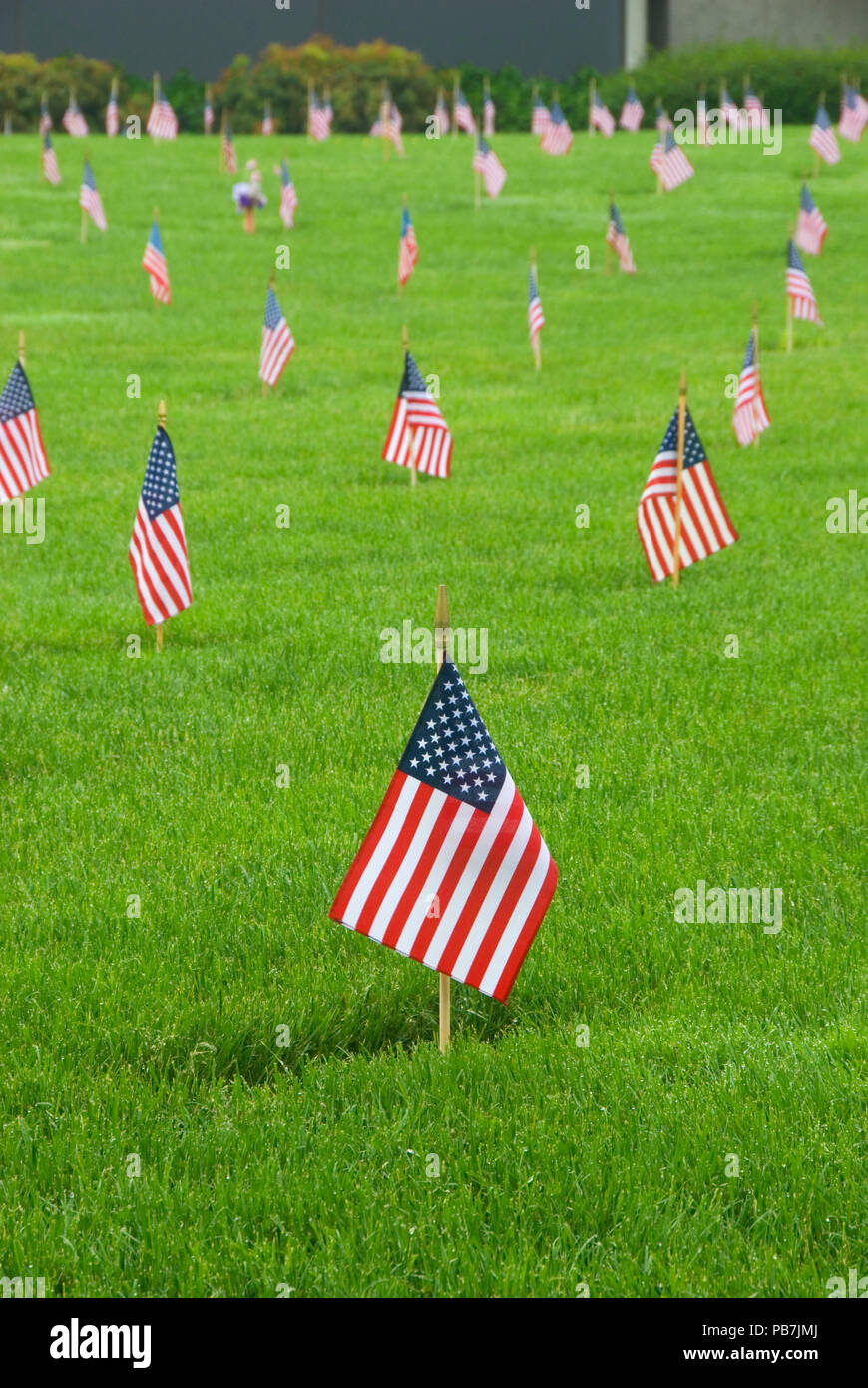Memorial Day flags on graves, Willamette National Cemetery, Portland ...