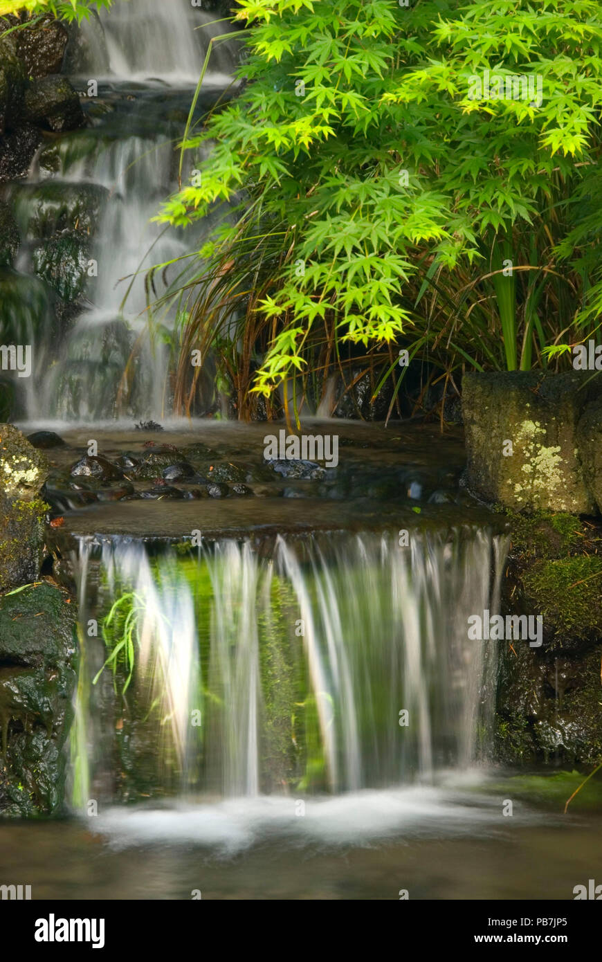 Cascade springs hi-res stock photography and images - Alamy
