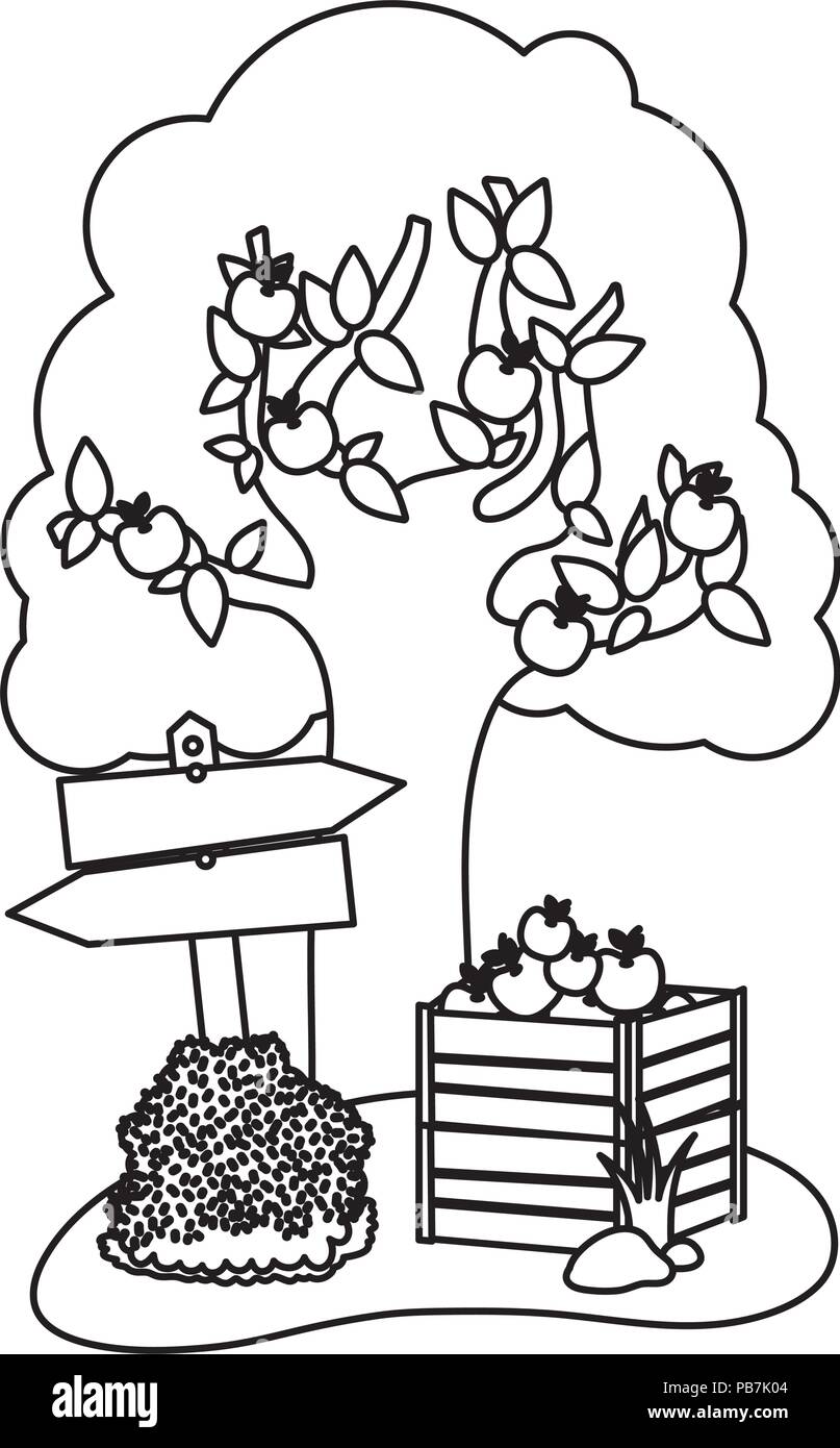 line apple tree and fruits inside wood farm box Stock Vector Image ...