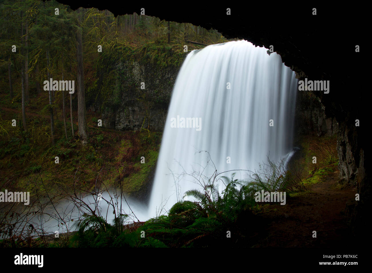 Middle North Falls, Silver Falls State Park, Oregon Stock Photo - Alamy