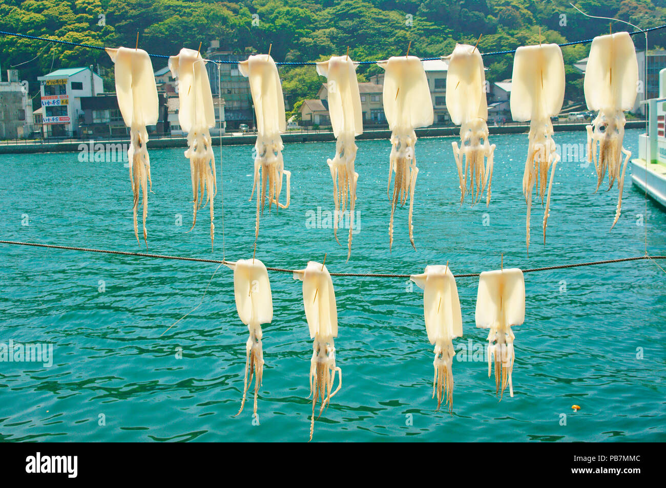 Japanese dried squid hi-res stock photography and images - Alamy