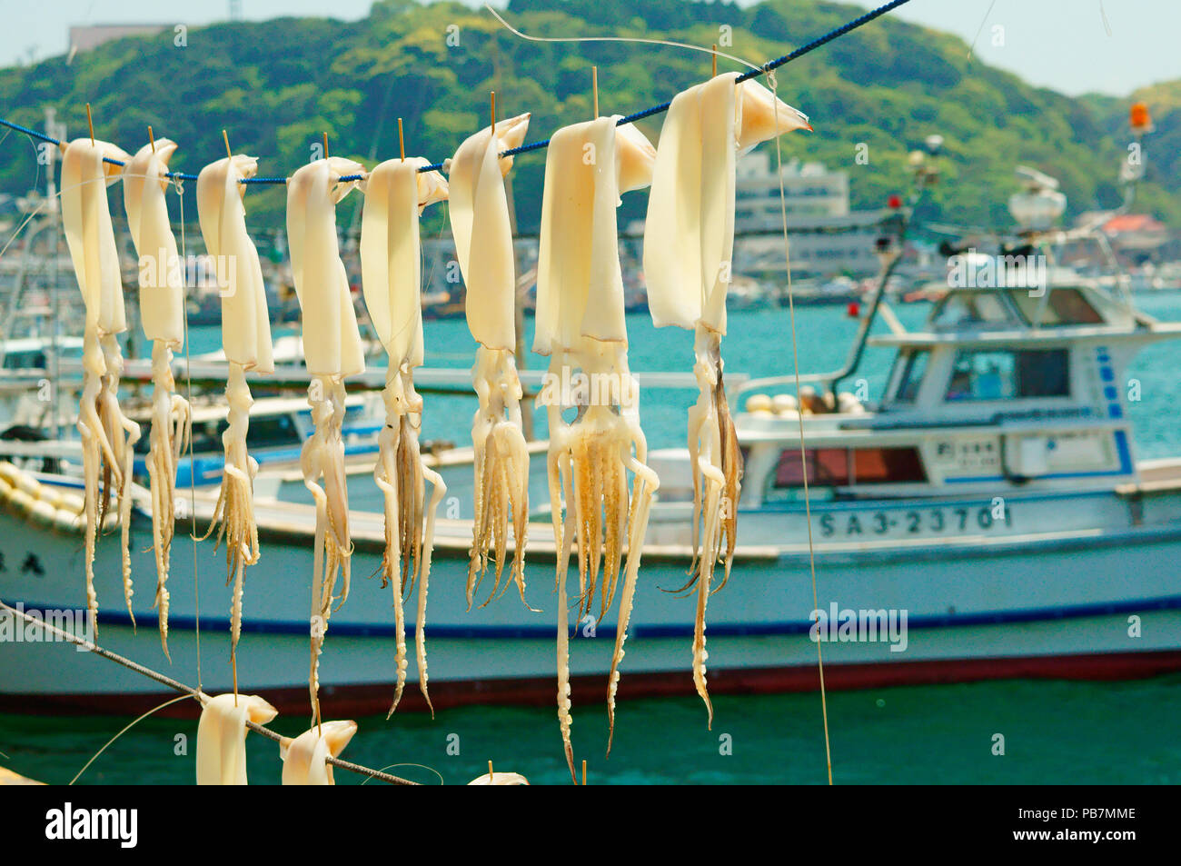 Dried Yobuko Squid, Saga Prefecture, Japan Stock Photo - Alamy