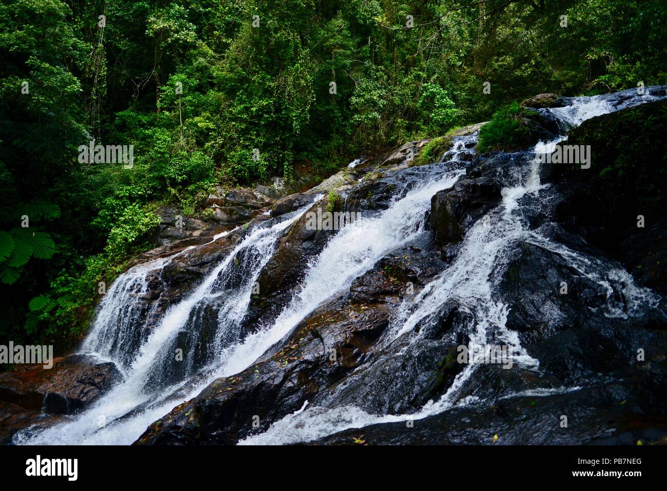 Dinner falls, Atherton Tablelands, QLD, Australia Stock Photo - Alamy