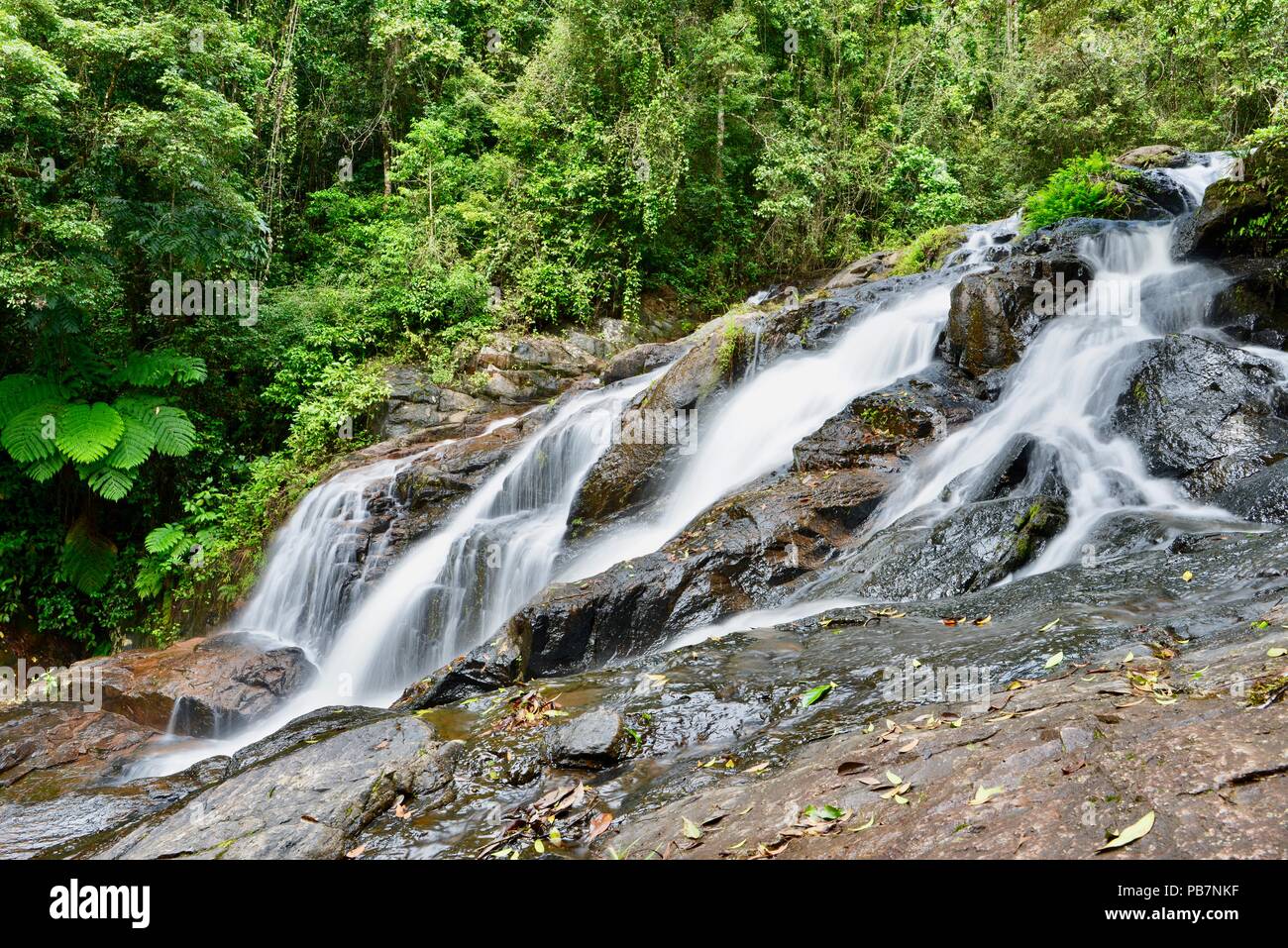 Dinner falls, Atherton Tablelands, QLD, Australia Stock Photo - Alamy