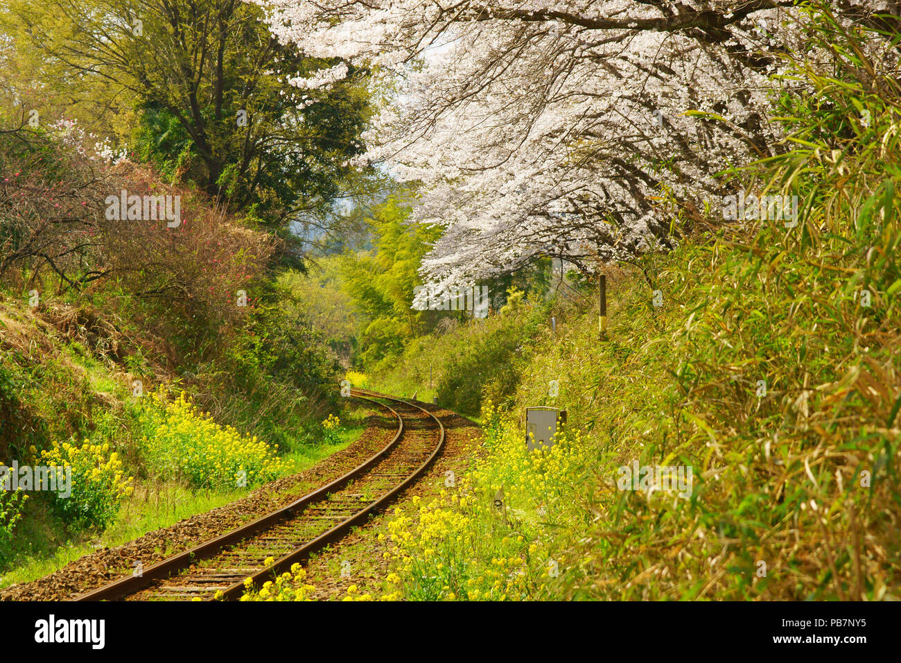 Hisatsu line hi-res stock photography and images - Alamy