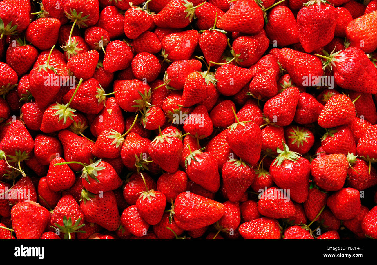 Japanese strawberry tree hi-res stock photography and images - Alamy