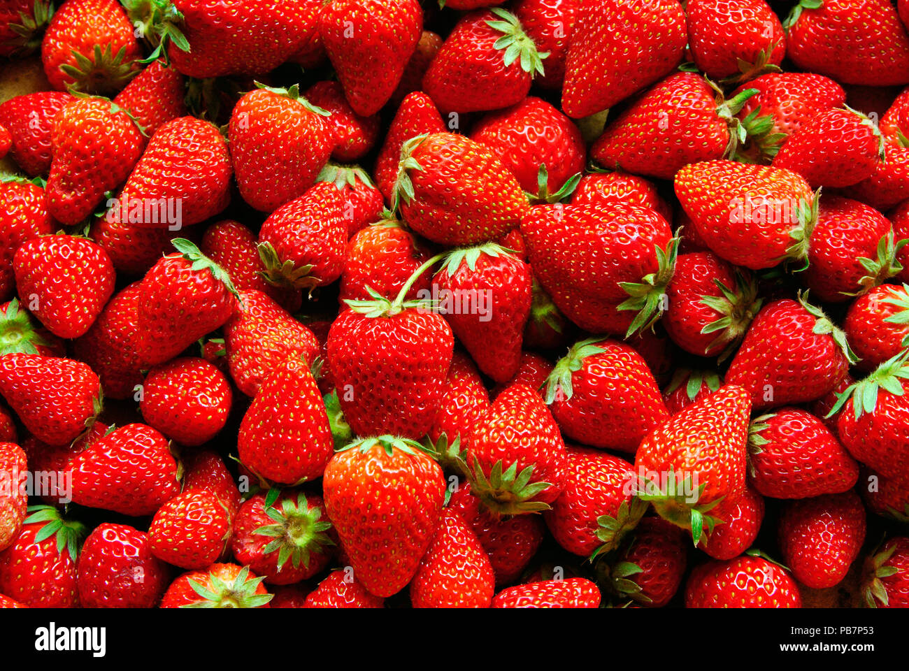 Japanese strawberry tree hi-res stock photography and images - Alamy