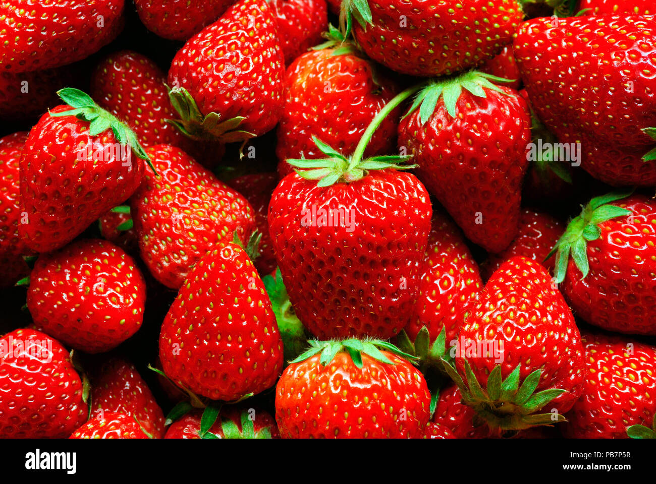 Japanese strawberry tree hi-res stock photography and images - Alamy