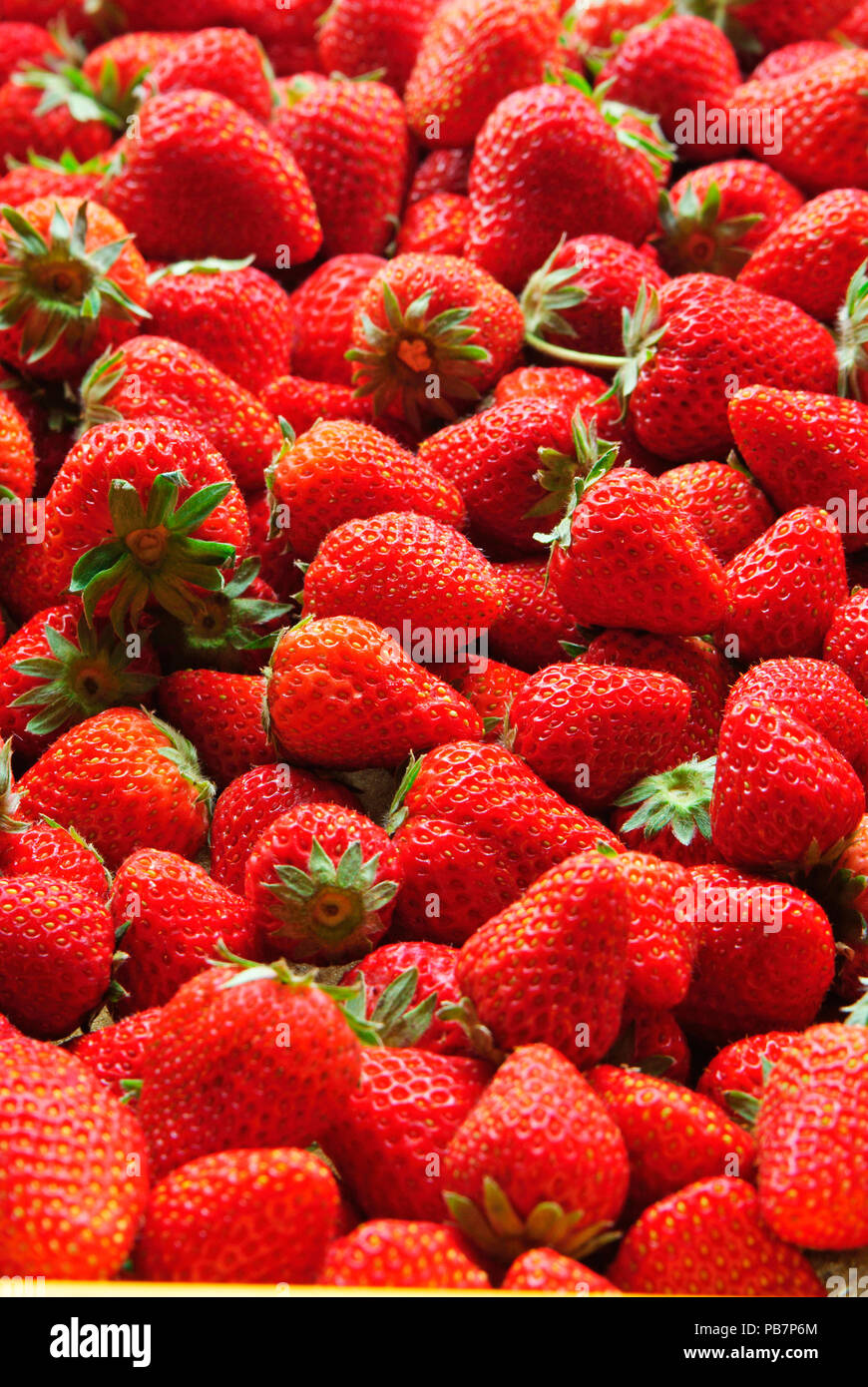 Japanese strawberry tree hi-res stock photography and images - Alamy