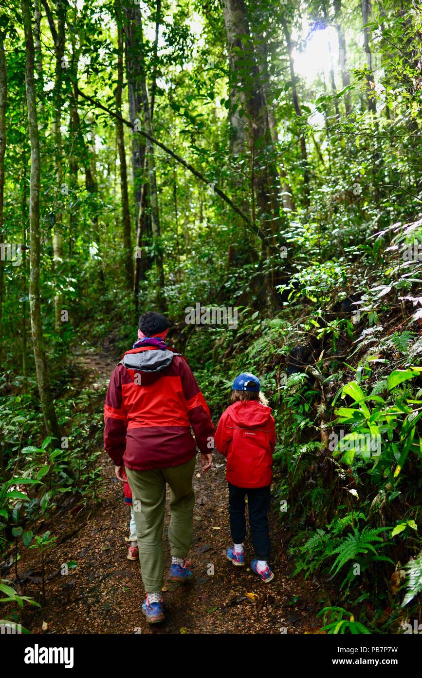 Dinner falls and the crater walk, Atherton Tablelands, QLD, Australia ...