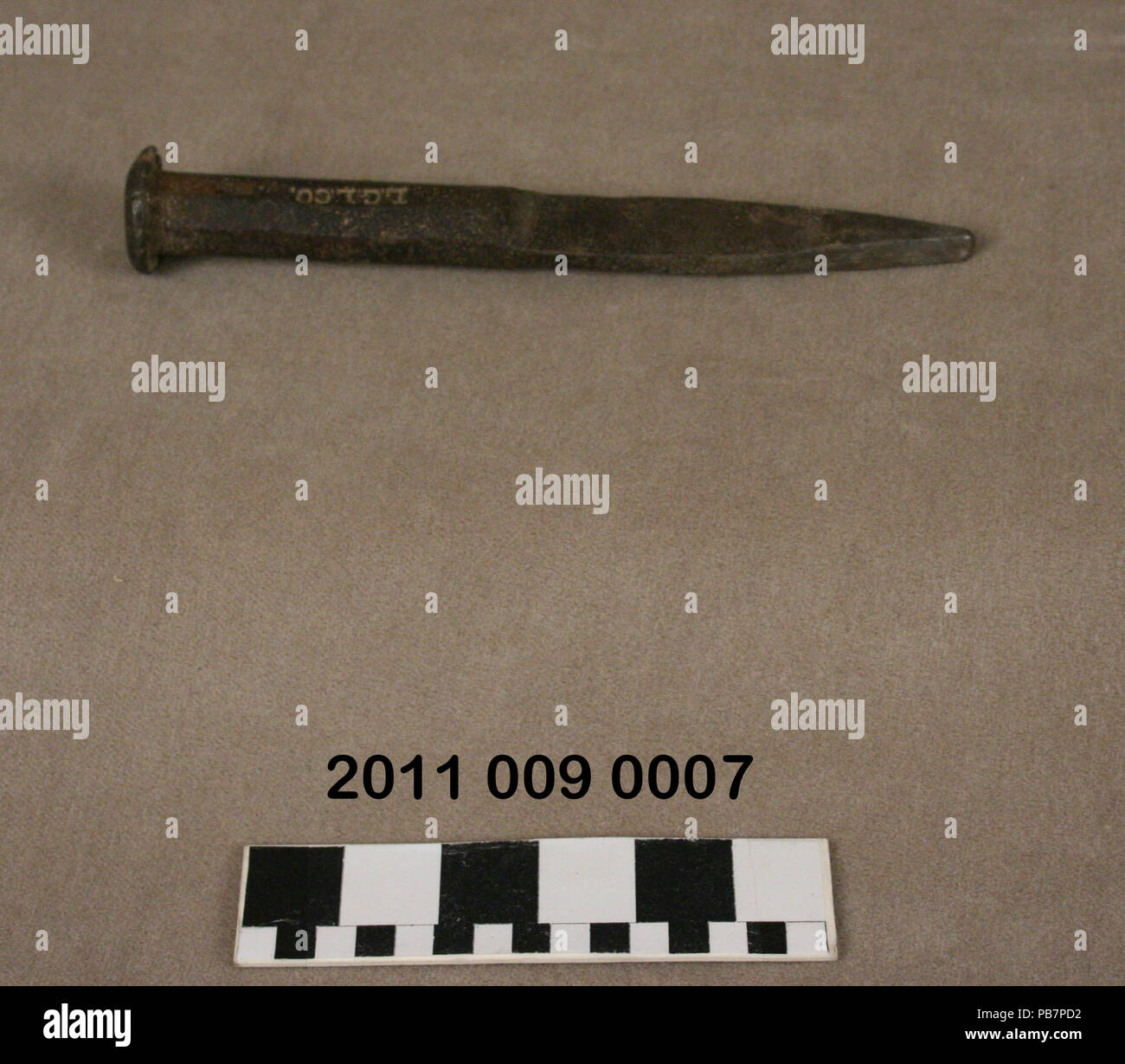 Lancet or acutely pointed hi-res stock photography and images - Alamy