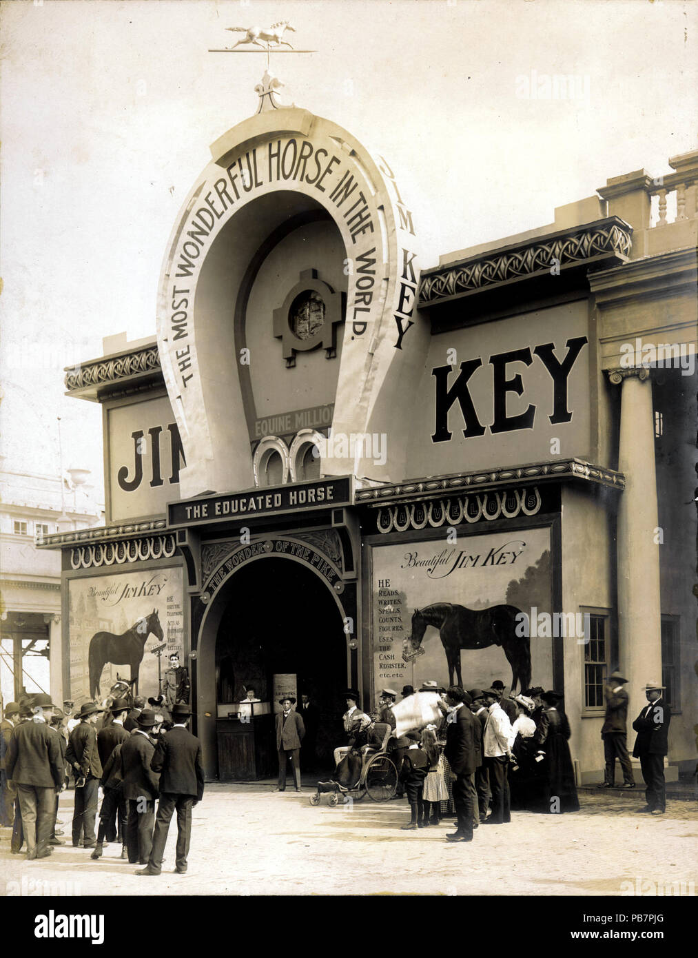 833 Jim Key, The Educated Horse on the Pike at the 1904 World's Fair ...
