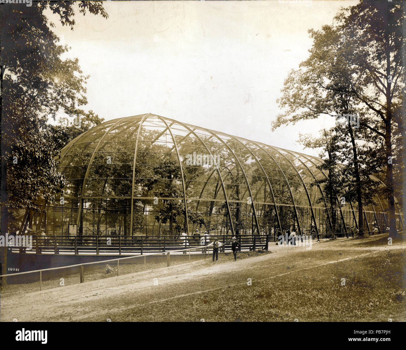 1785 U.S. Government Bird Cage at the 1904 World's Fair Stock Photo - Alamy