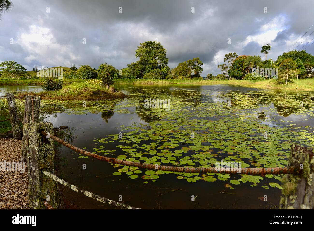 Australian Platypus Park, Atherton Tablelands, QLD, Australia Stock ...