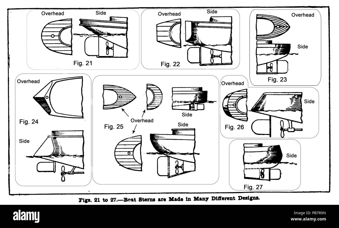 Sterns High Resolution Stock Photography and Images - Alamy