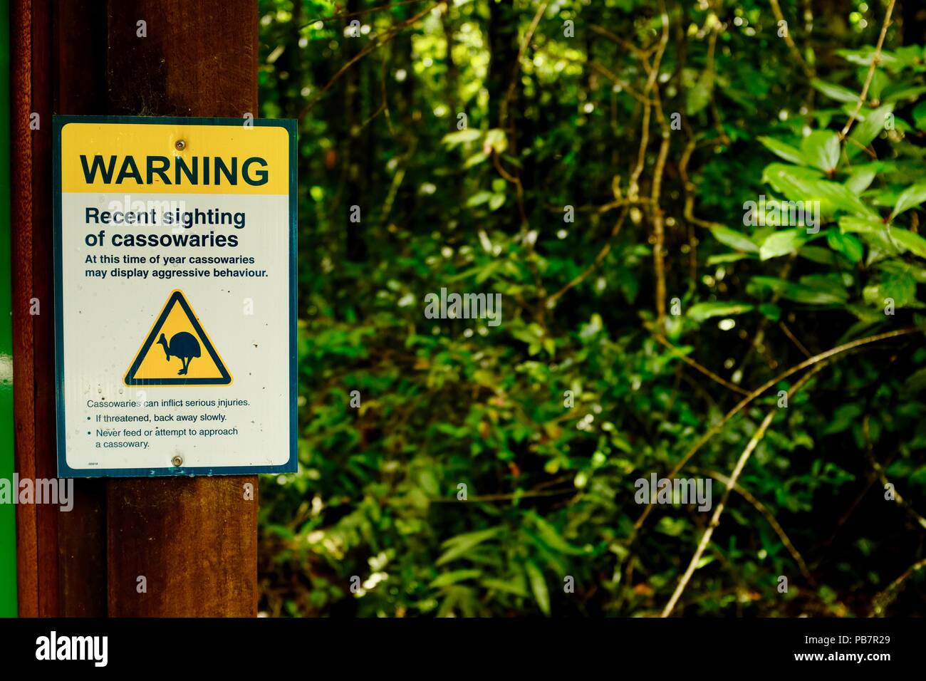 Warning recent sighting of cassowaries sign, Atherton Tablelands, QLD ...