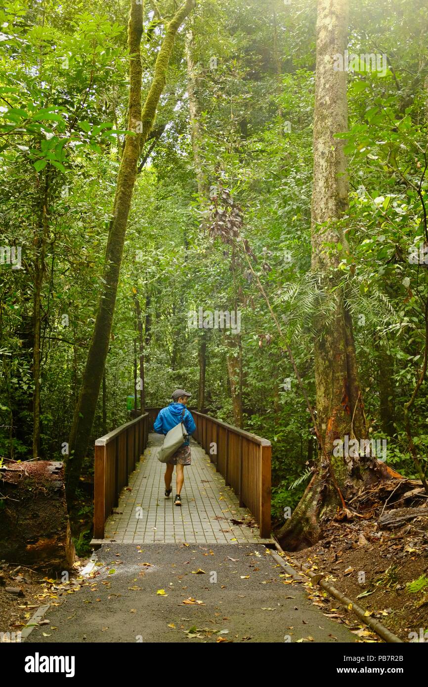 A man walking into a forest, ahead of the pack, Dawning of a new day ...