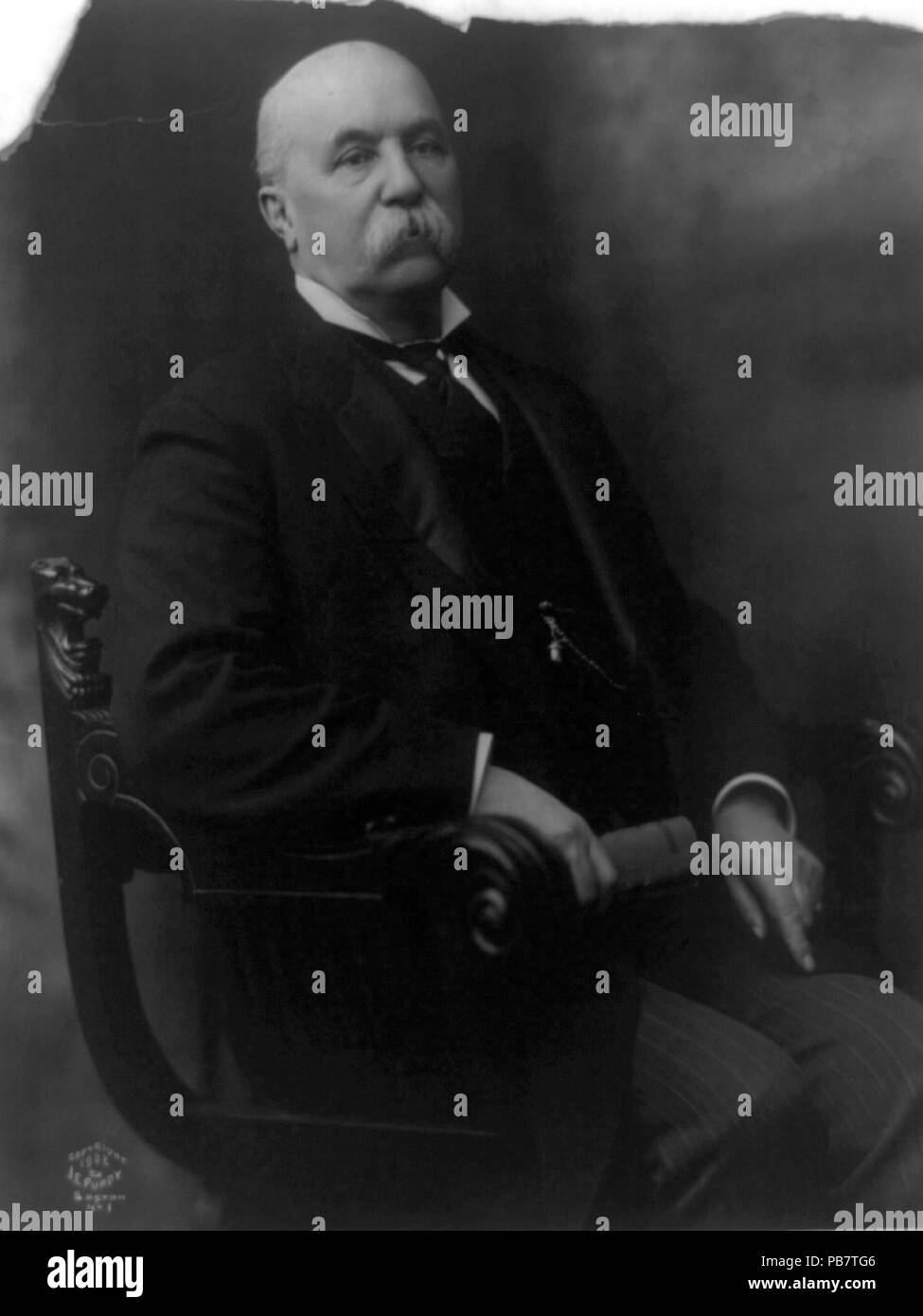 Gallinger hi-res stock photography and images - Alamy