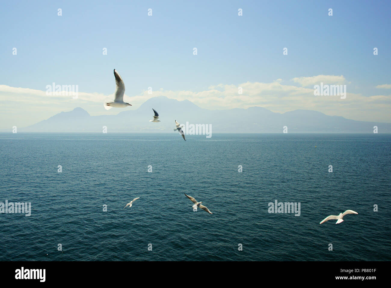 Shimabara nagasaki hi-res stock photography and images - Alamy