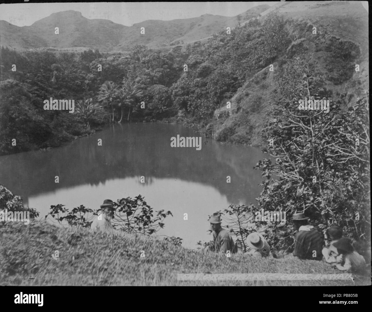 Green 6 Black and White Stock Photos & Images - Alamy