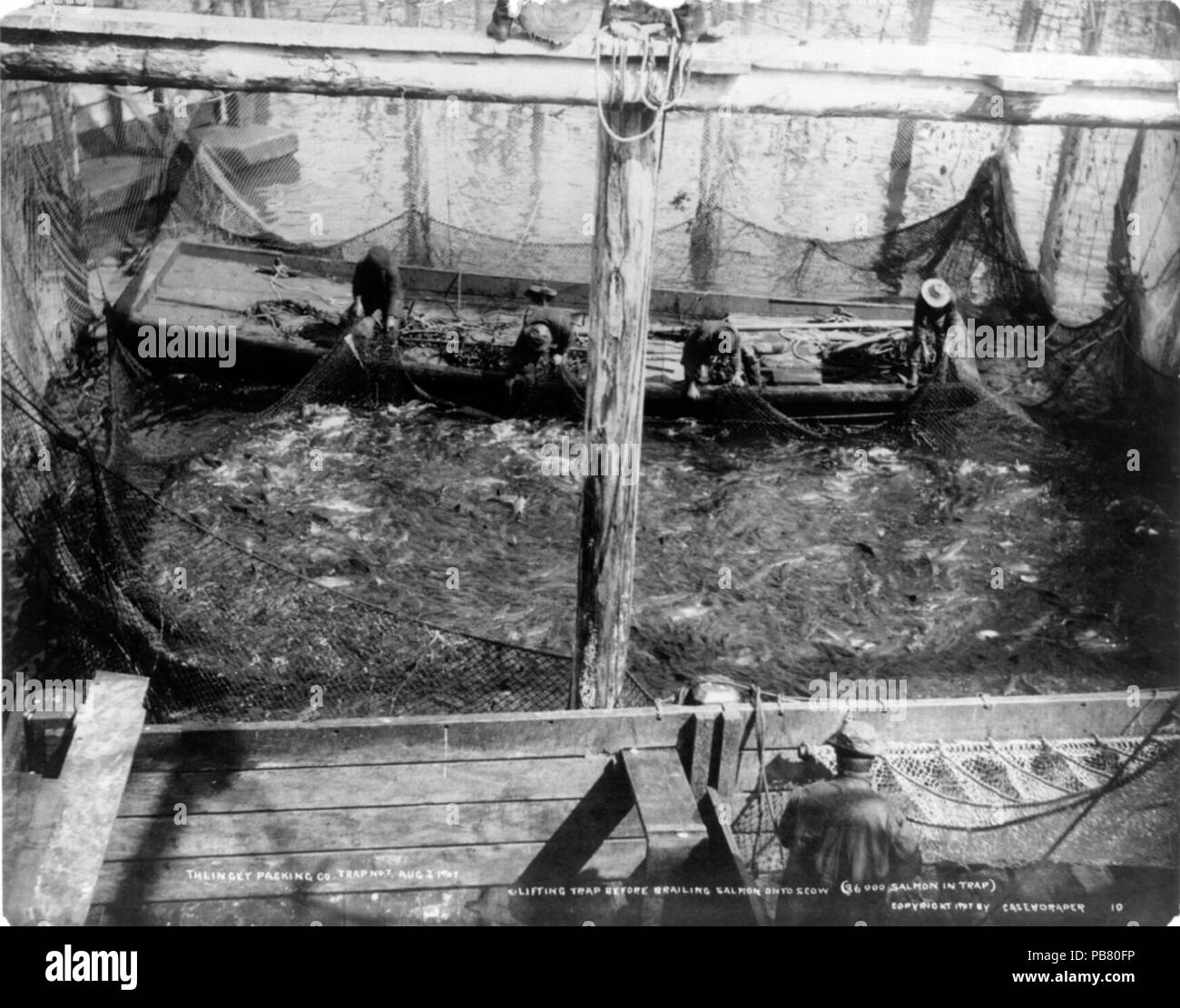 Tlingit salmon hi-res stock photography and images - Alamy