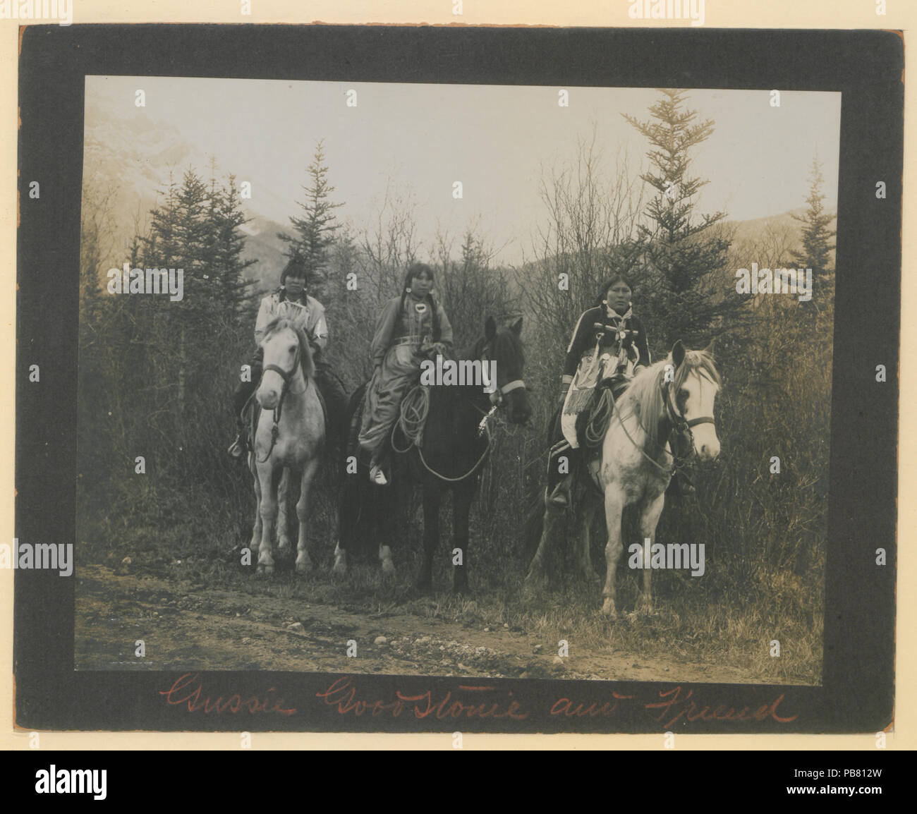 Gussie hi-res stock photography and images - Alamy