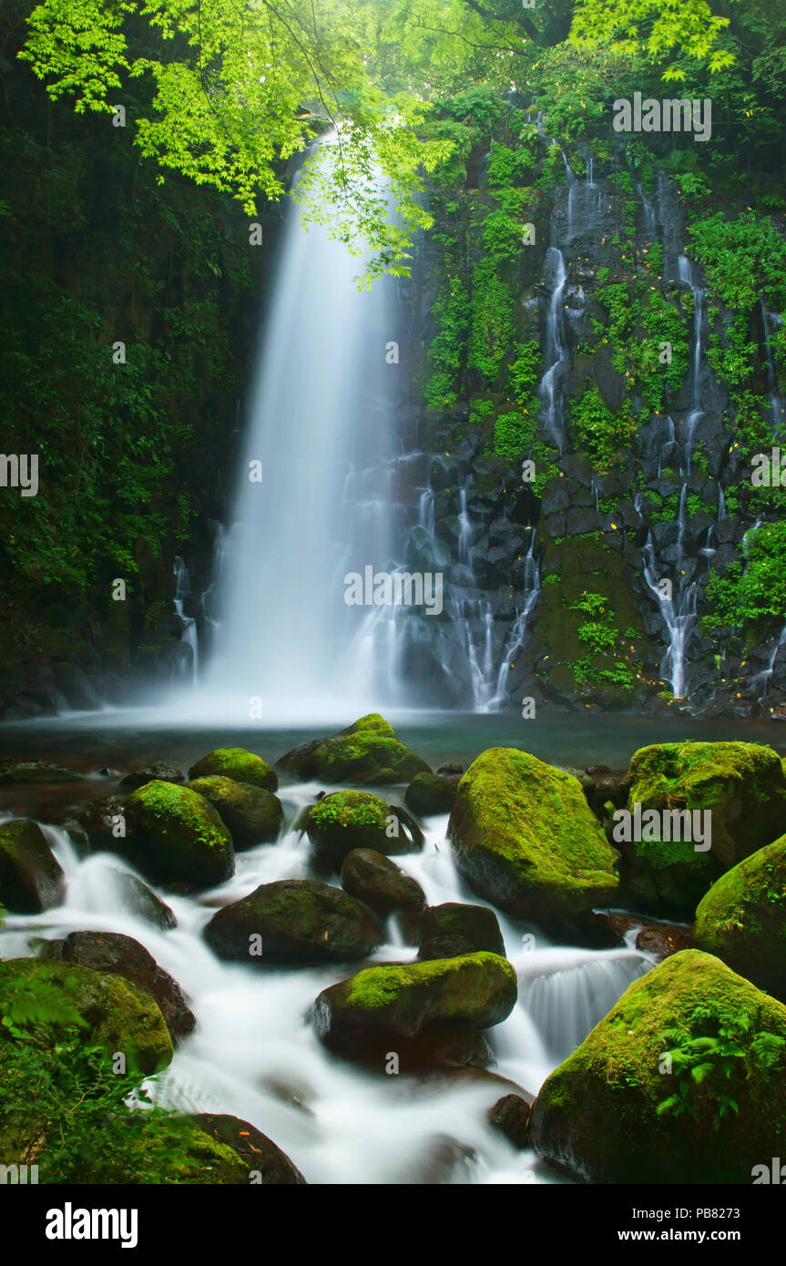 Shiraito Waterfall, Kumamoto Prefecture, Japan Stock Photo - Alamy