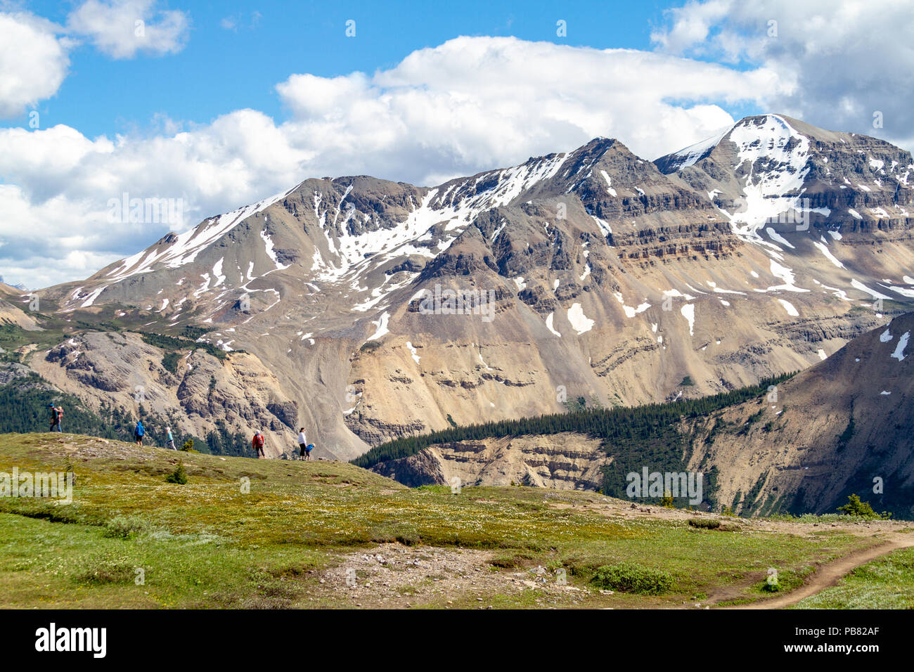 JASPER, CANADA - JUL 8, 2018: Hikers at the crest of Parker Ridge on ...