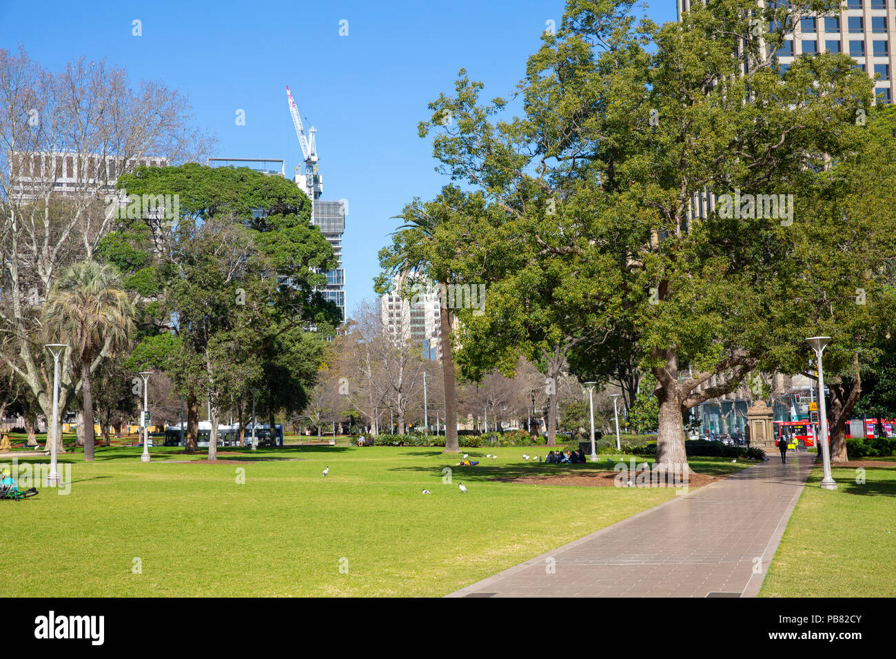 Hyde Park in Sydney city centre, New South Wales,Australia Stock Photo ...