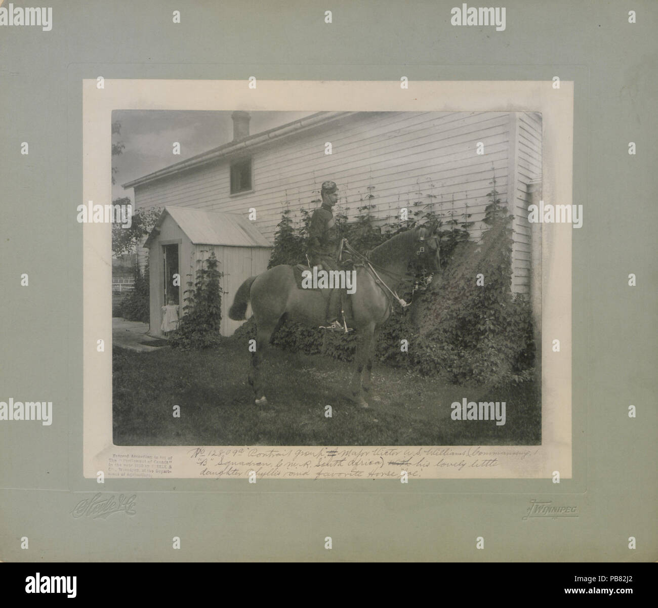 Phyllis major hi-res stock photography and images - Alamy