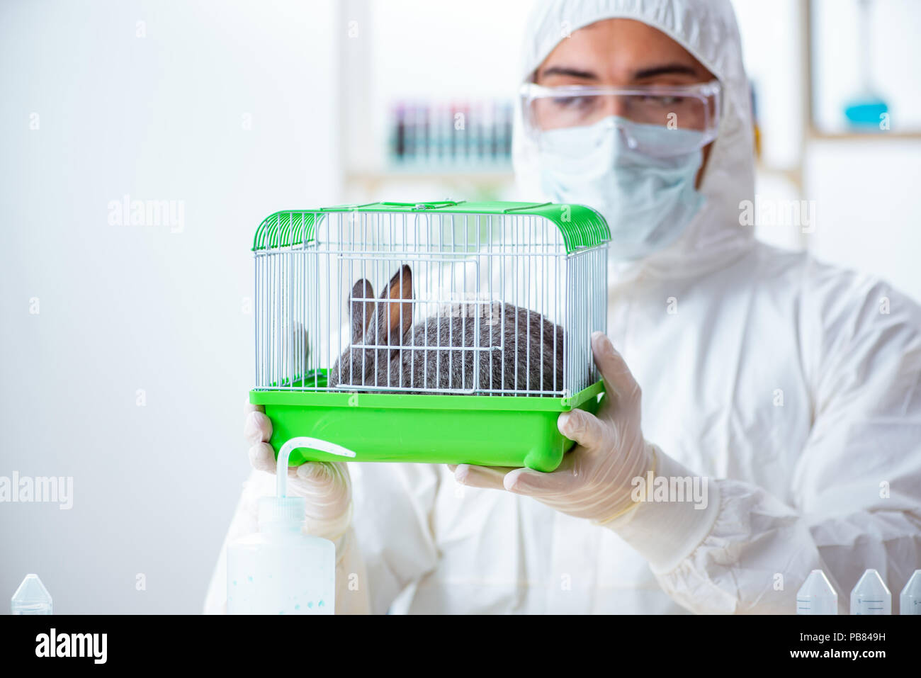 Scientist experimenting on animals hi-res stock photography and images ...