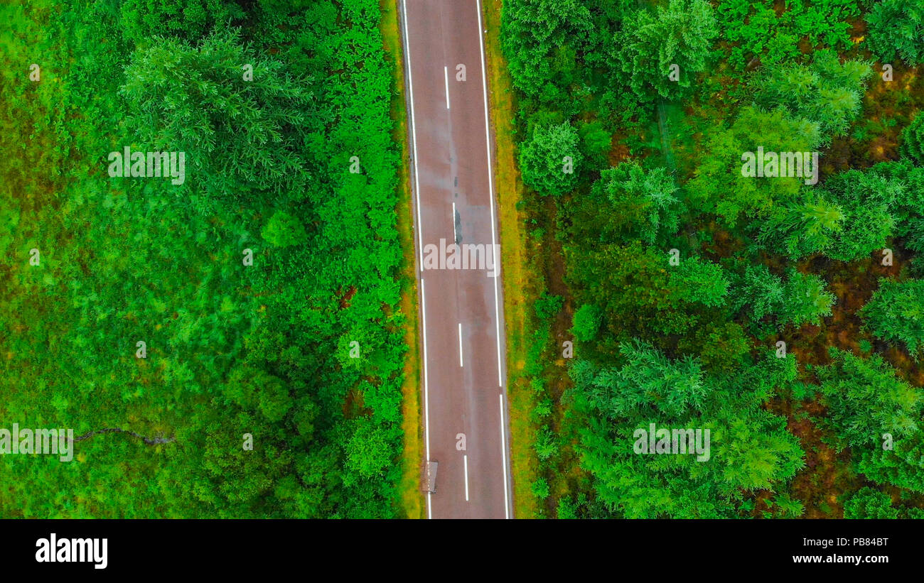 Scenic view greenfield forest hi-res stock photography and images - Alamy