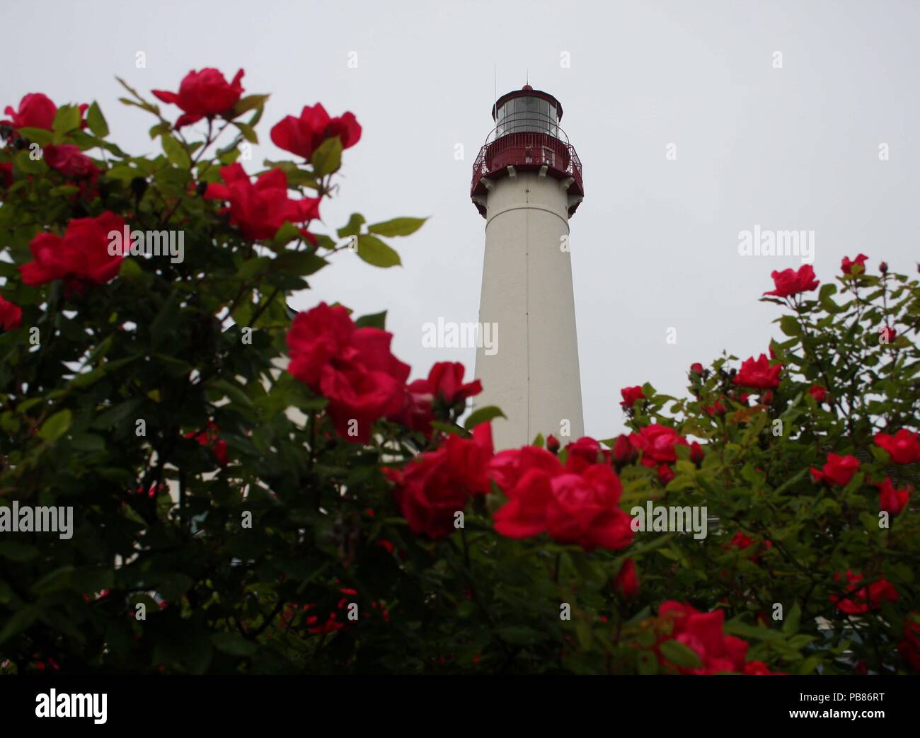 May springtime photographs hi-res stock photography and images - Alamy