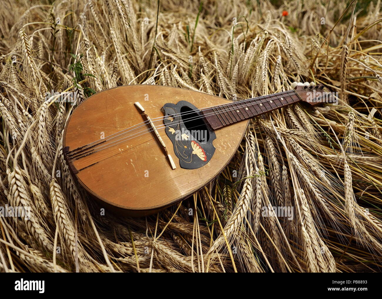 Natura morta napoli hi-res stock photography and images - Alamy