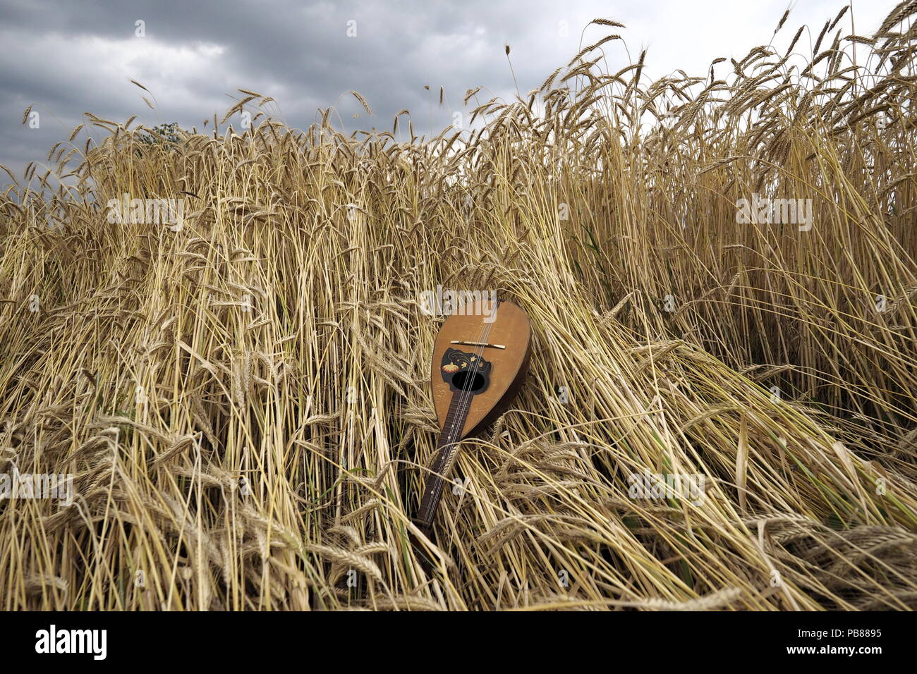 Italian mandoline on wheat Stock Photo - Alamy