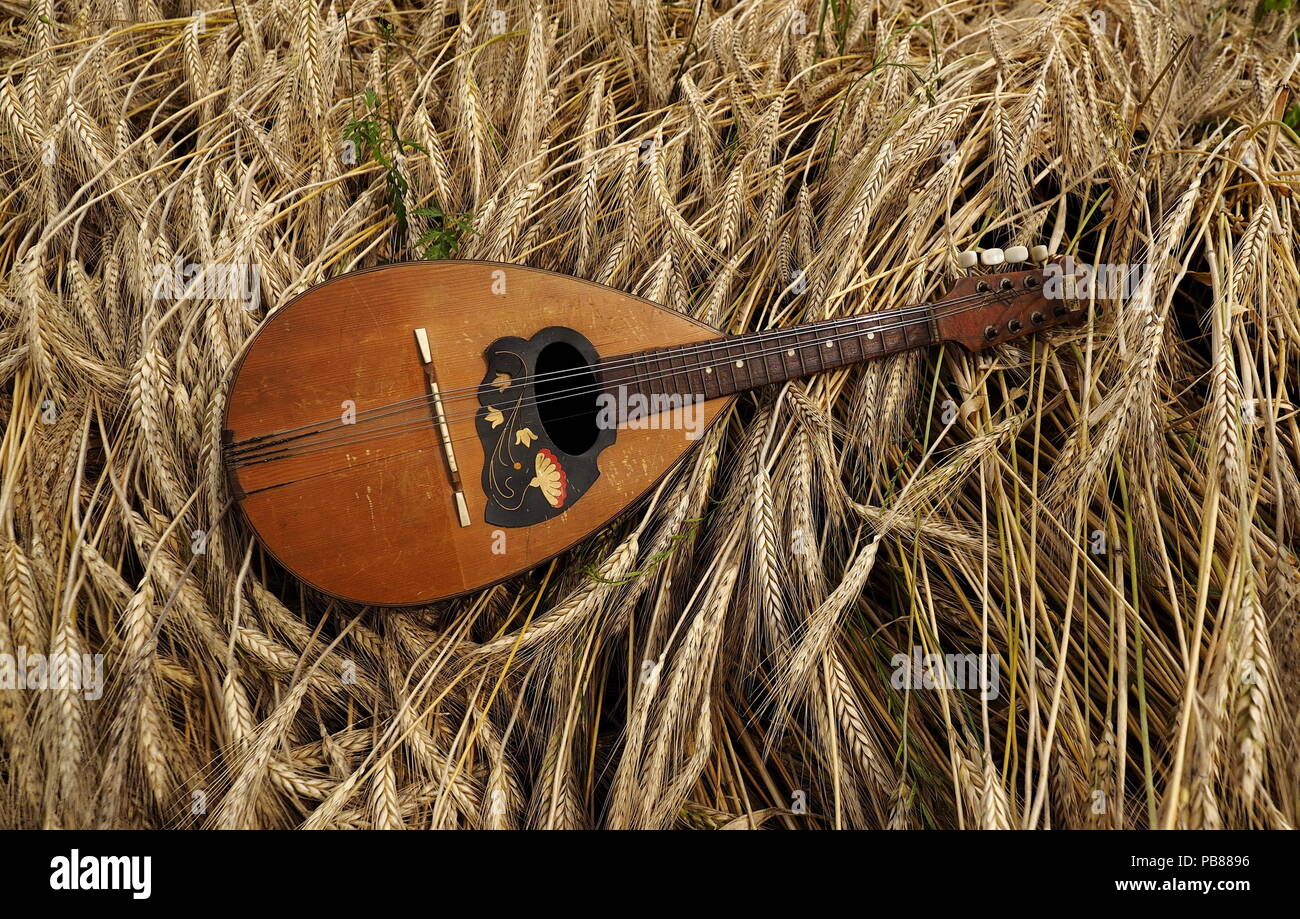 Italian mandoline on wheat Stock Photo - Alamy