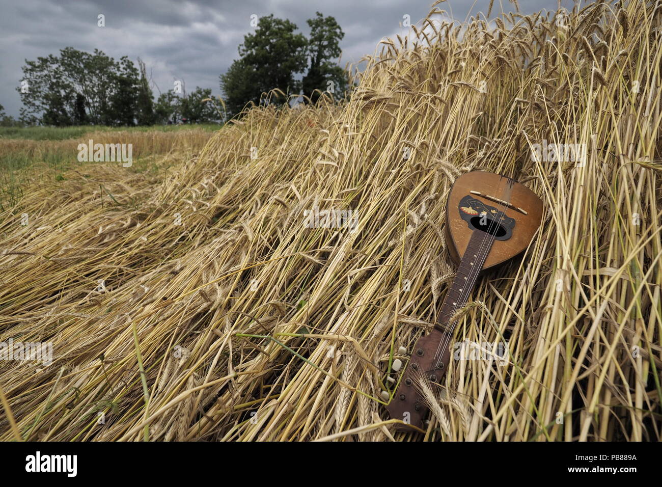 Italian mandoline on wheat Stock Photo - Alamy