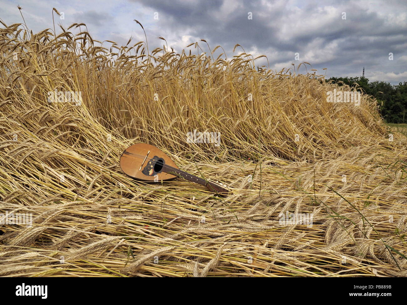 Italian mandoline on wheat Stock Photo - Alamy