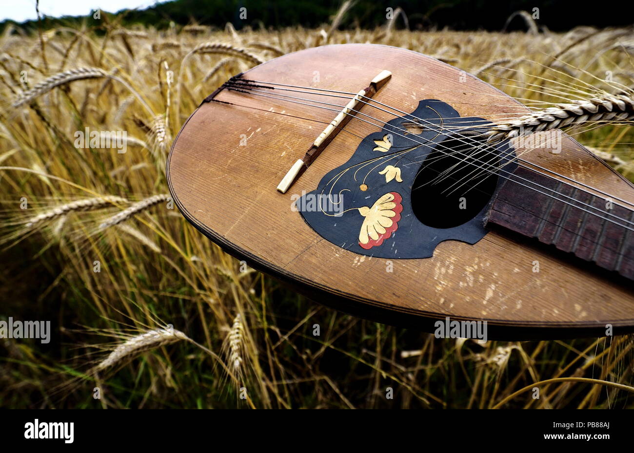 Italian mandoline on wheat Stock Photo - Alamy