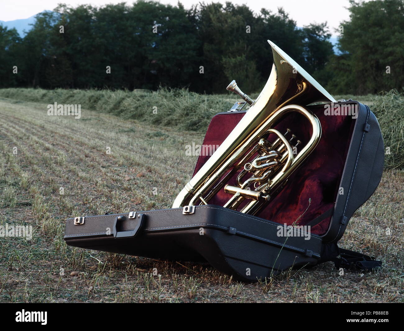 Euphonium hi-res stock photography and images - Alamy